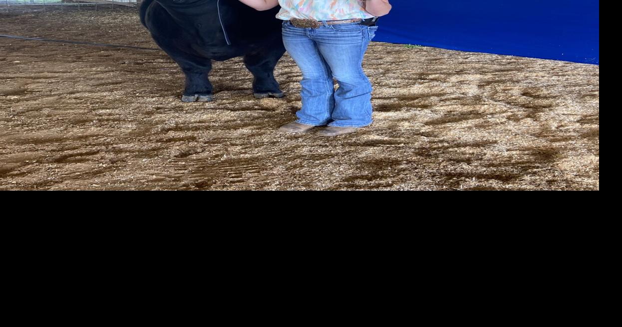 Bray, Allen earn top heifer awards | News | theparisnews.com