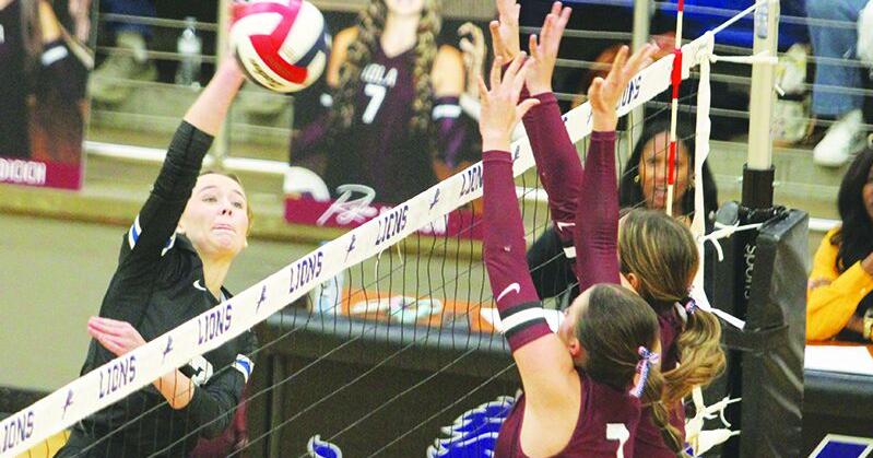 Detroit Lady Eagles historic run ends in Regional Finals against top ...
