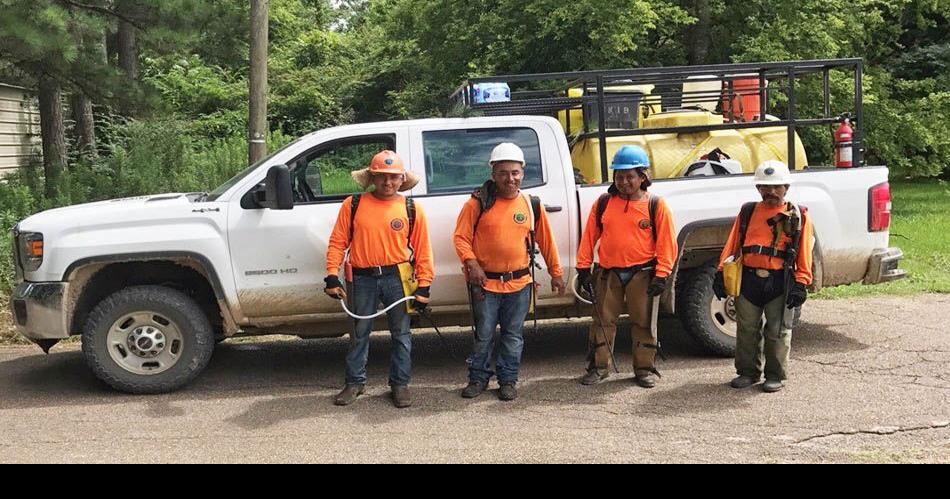 LEC workers to conduct right of way clearing in county | News ...