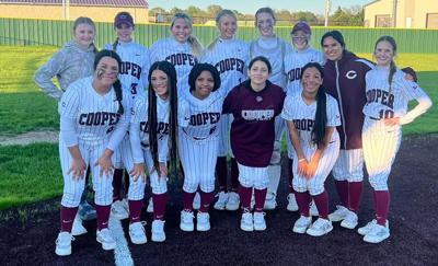 Dogettes win third district game in a row with victory over Wolfe City ...