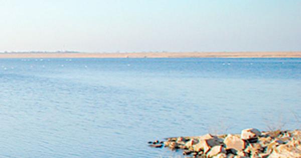 Pat Mayse Lake Report | News | theparisnews.com