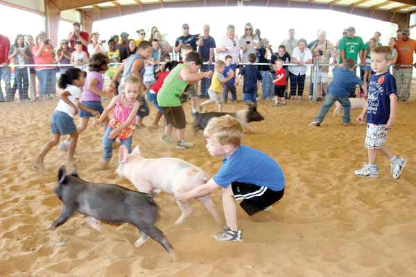 Hawg Waller’s big pig chase | News | theparisnews.com