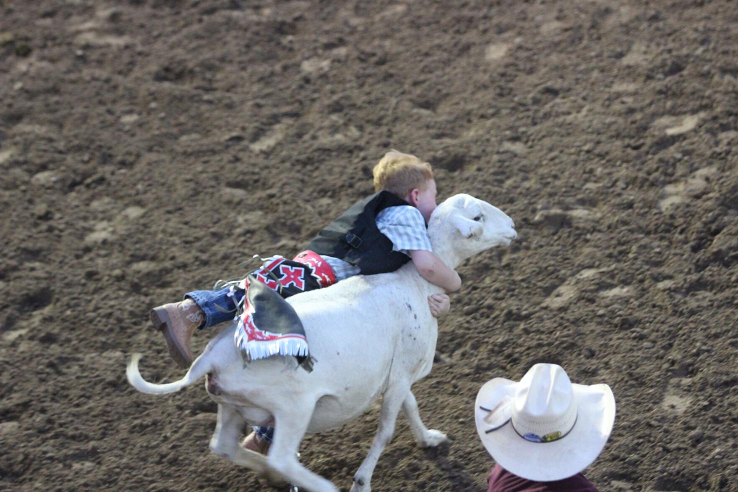 Cooper Rodeo 37 | | theparisnews.com