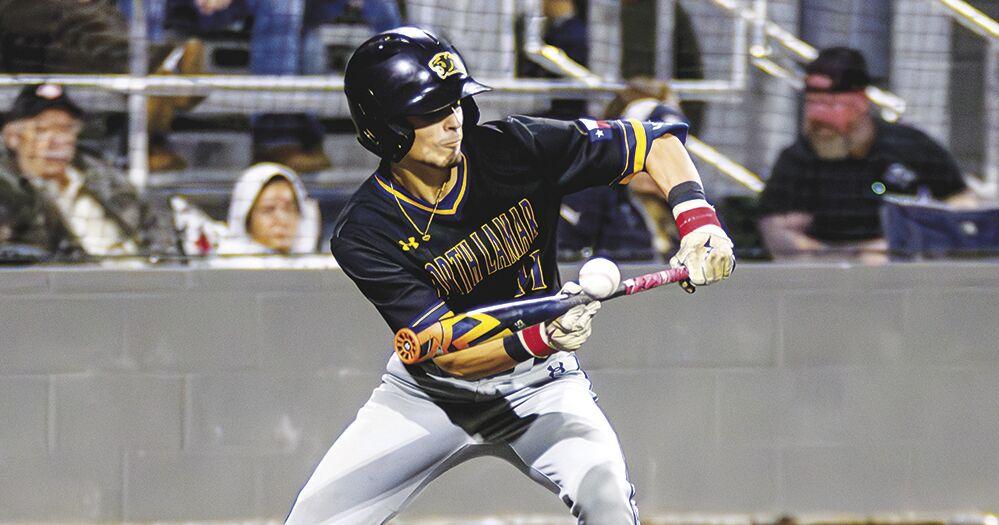 Panthers complete sweep of Wildcats | Sports | theparisnews.com