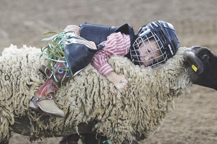 75th Bogata Rodeo crowns winners in events | Bogata | theparisnews.com