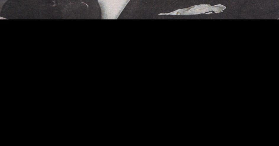 Dr. Robert John (Bob) Hinson | Free | theparisnews.com