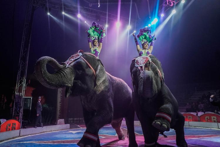 Dinosaurs rule at 2017 Carson & Barnes Circus | News | theparisnews.com