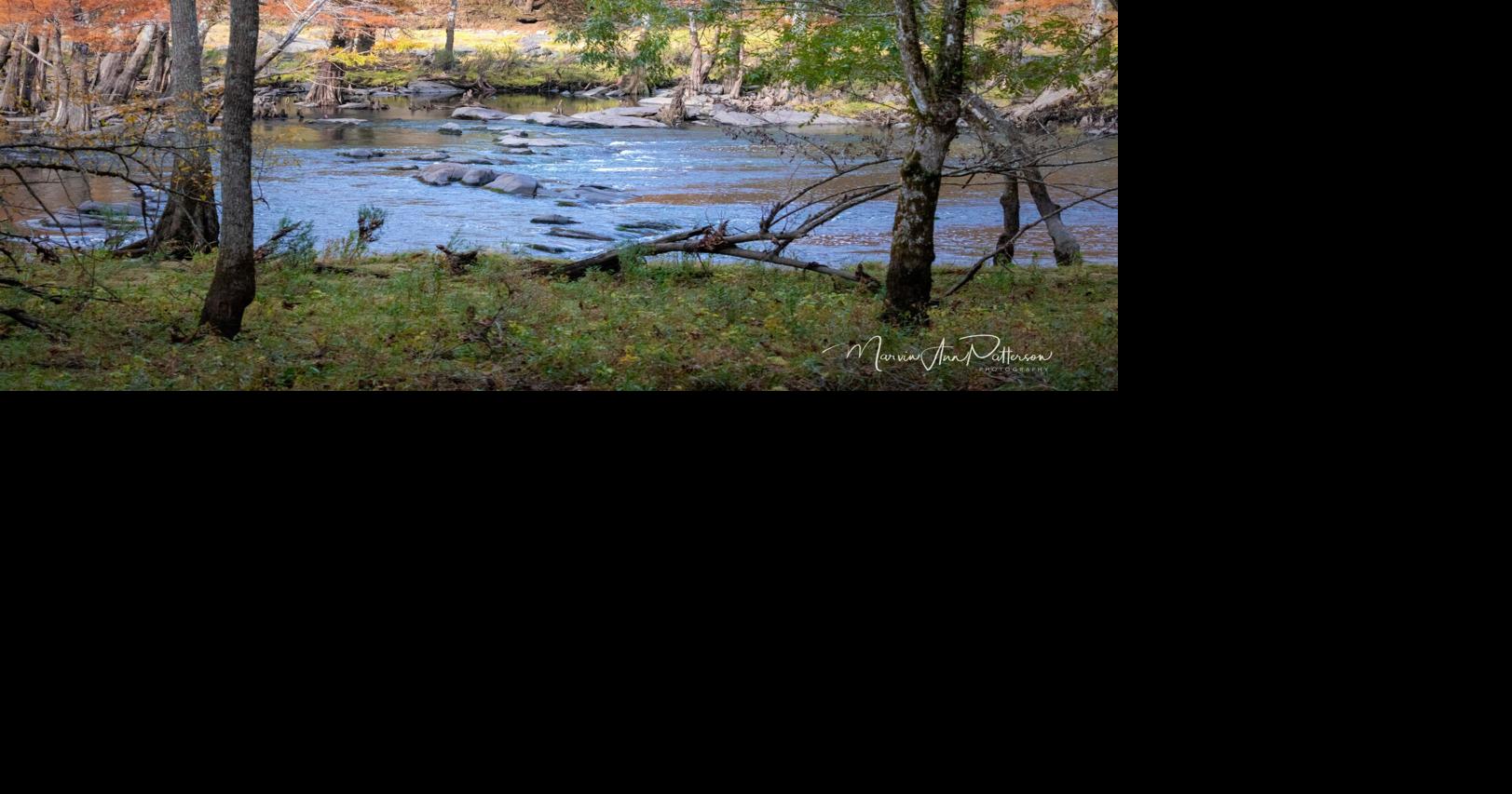Marvin Ann Patterson discovers the world looks different through a lens ...