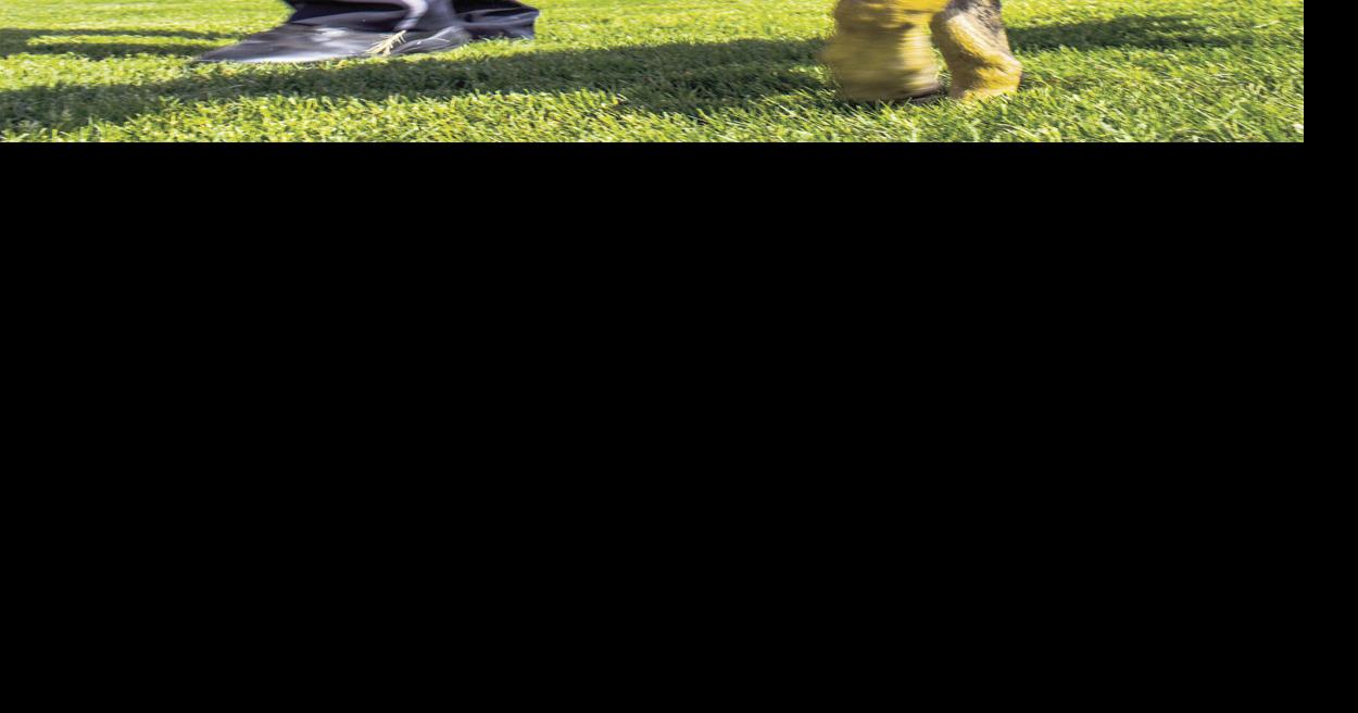 PPD renews K-9 license | News | theparisnews.com