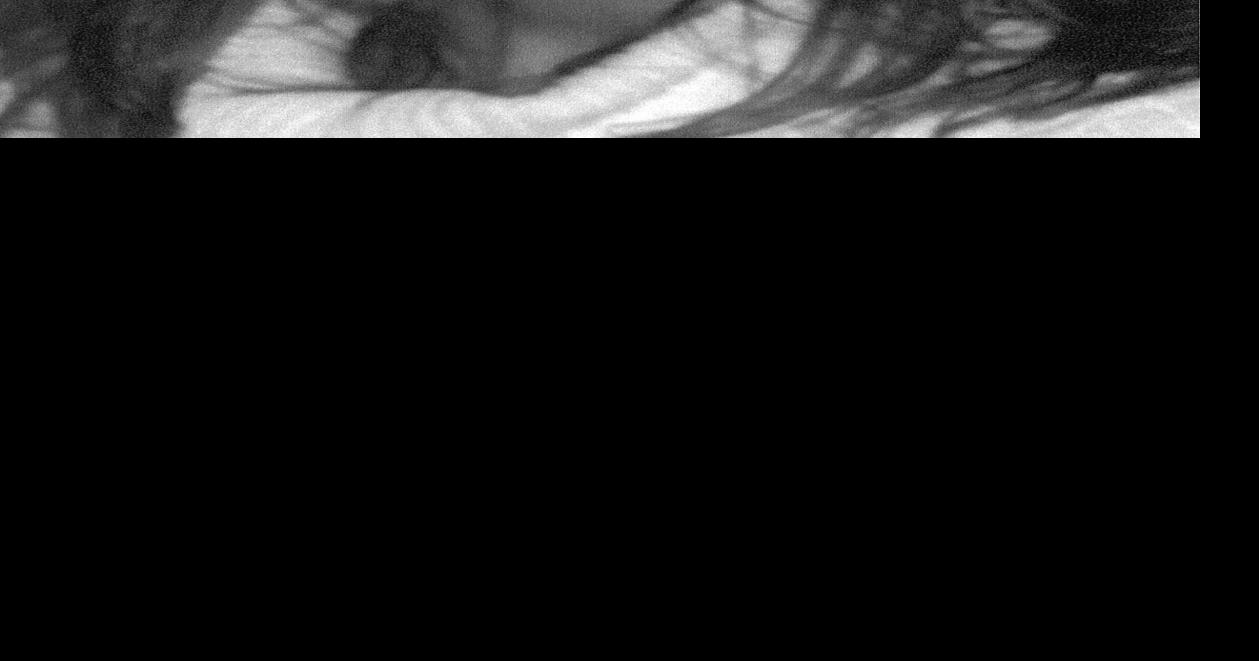 Karen Renea Kraft | Obituaries | theparisnews.com