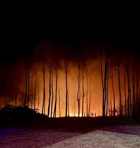 High winds create harsh firefighting conditions near Blossom | News ...