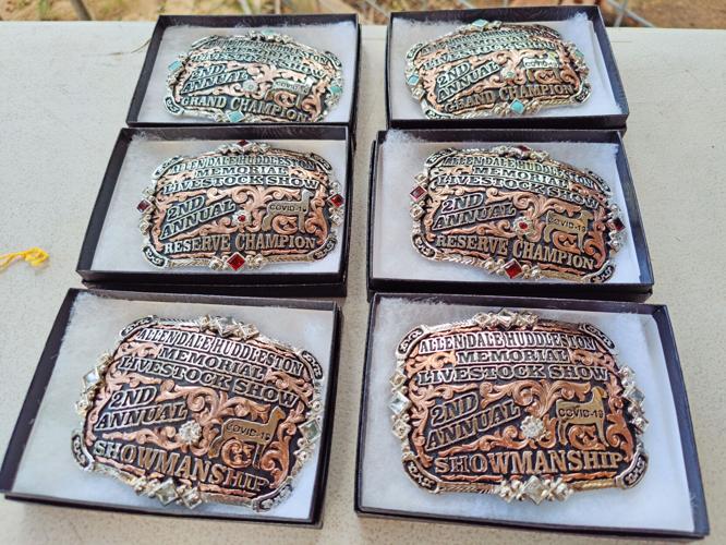 Livestock Show raises $4,000 for Trinity Christian senior scholarships ...