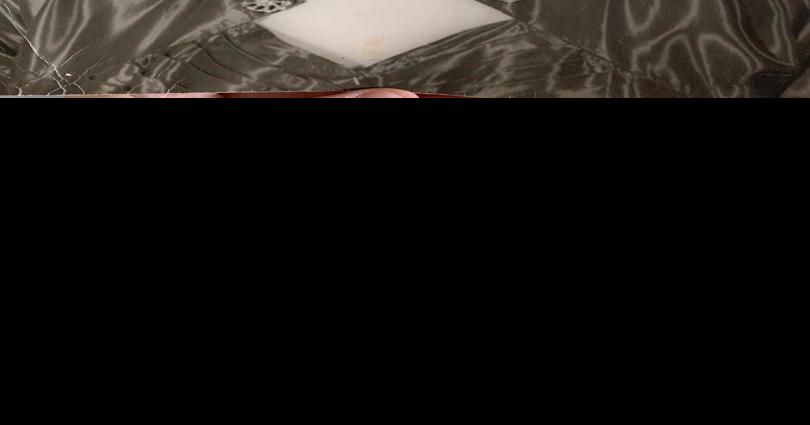 Shelbie Jean Briscoe | Free | theparisnews.com