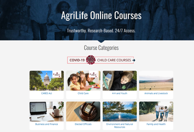 FARM & RANCH: Texas A&M AgriLife Extension working on 2021 programs ...