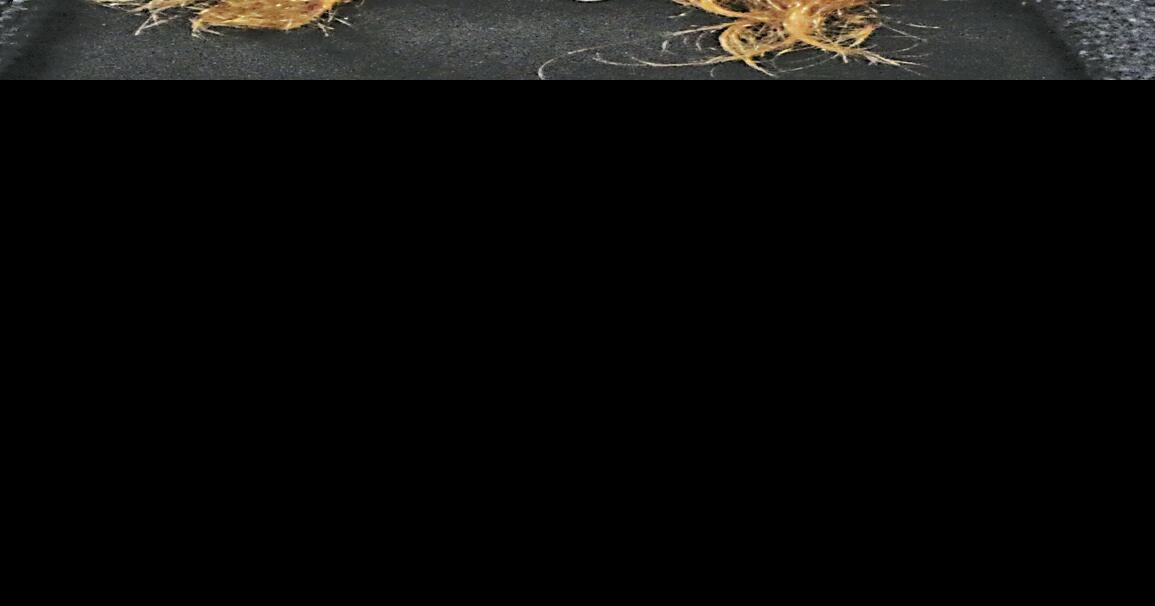 Jessica Waller's Instagram, Twitter & Facebook on IDCrawl