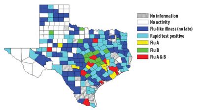 Flu season hits East Texas | News | theparisnews.com