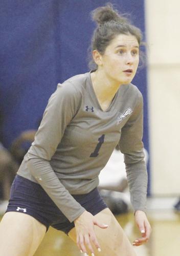 Ladycats off to best start since 2021 season at 7-1 | Sports ...