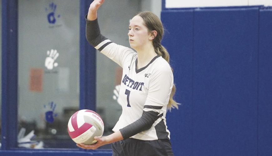 Area schools rake in 17-2A All-District volleyball awards | Sports ...