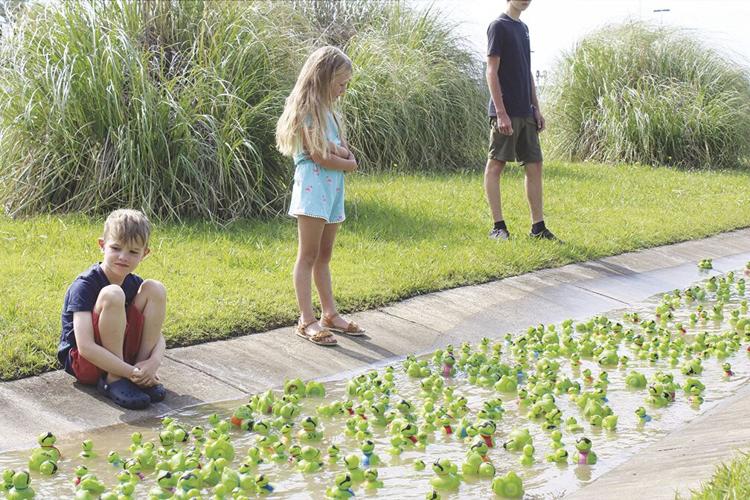 Turtles ahoy!: Paris Turtle Float fundraiser success | News ...