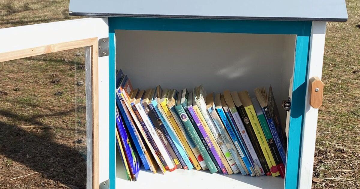 Mini libraries going up in Lamar County | News | theparisnews.com
