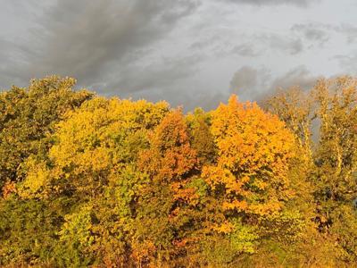 Experience the best of fall at Cooper Lake State Park | News ...