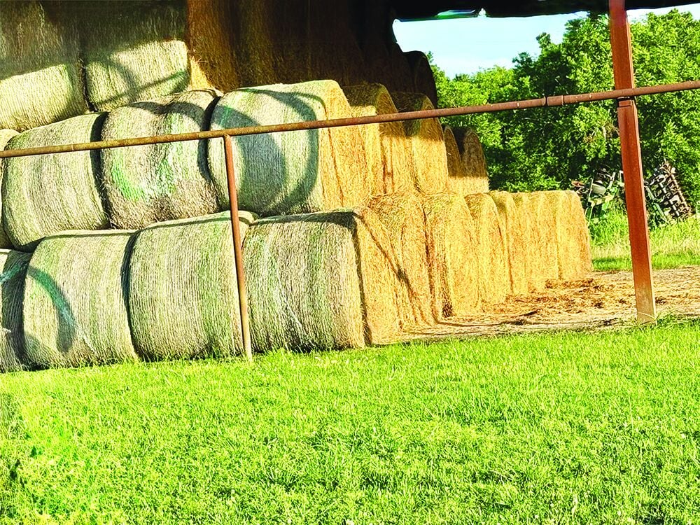 Farm and Ranch: Hay continues to be a leading industry in the farm and ...