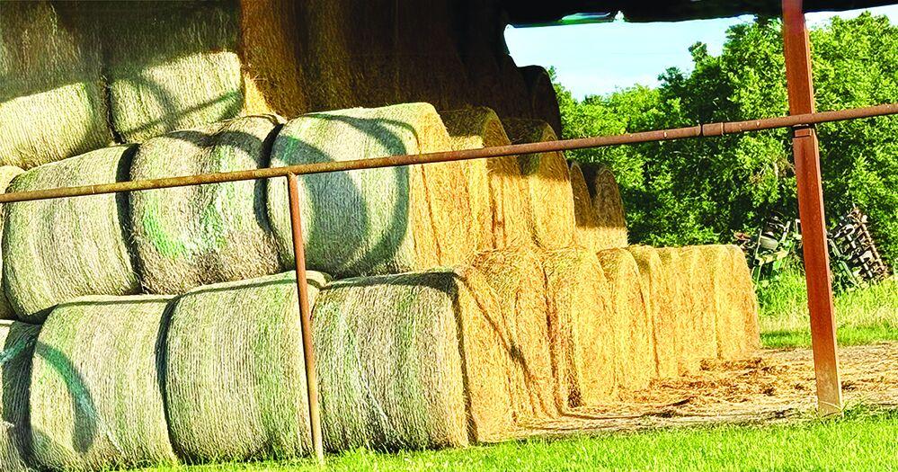 Farm and Ranch: Hay continues to be a leading industry in the farm and ...