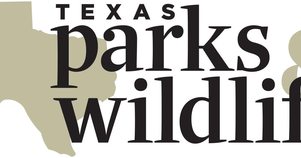 Texas Parks & Wildlife offers free virtual backgrounds for residents ...