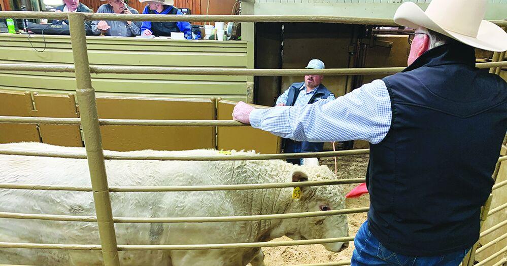 Chamber of Commerce to host 60th Annual All Breed Bull and Heifer and ...