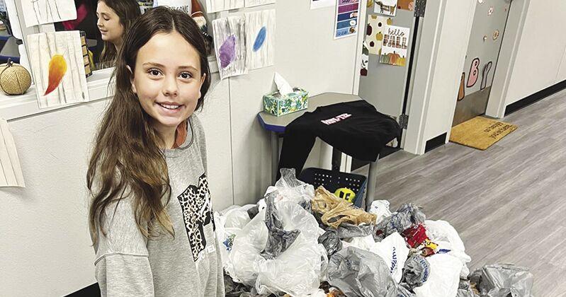 North Lamar Intermediate Elects NEHS Officers and Board Members for ...