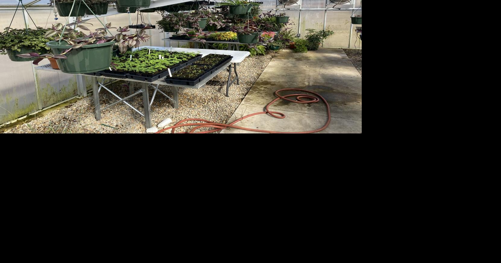 FARM AND RANCH: Chisum greenhouse setting students up for success ...