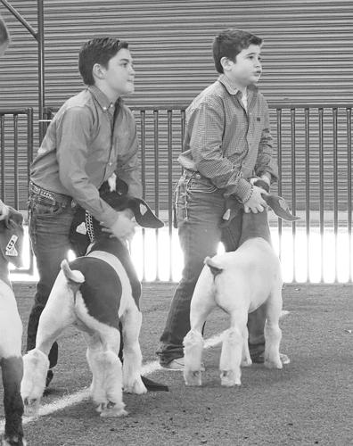 2023-24 4-H Chapter boasts 174 members | News | theparisnews.com