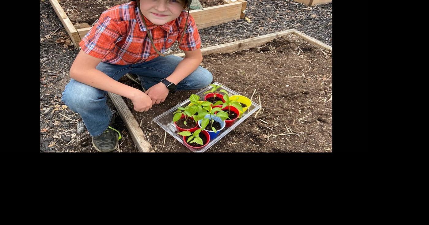 Seriously seeding gardens with popular planting program
