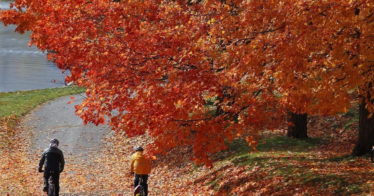 Dramatic fall colours at provincial parks in the Peterborough area
