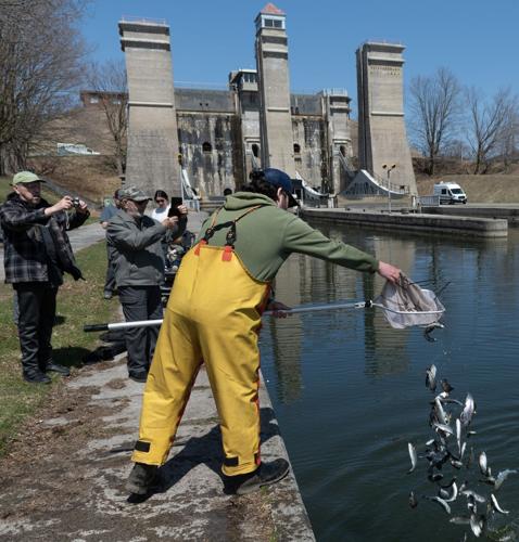 36th annual OFAH Under the Lock Fishing Derby this weekend