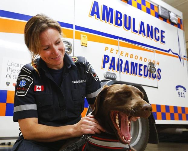 Charlie, Peterborough County’s newest hire, helps local paramedics open ...