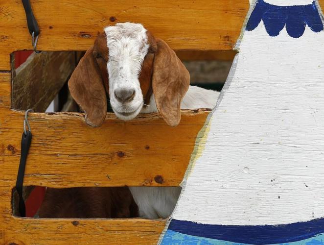 Photos: Millbrook Fair continues until Sunday