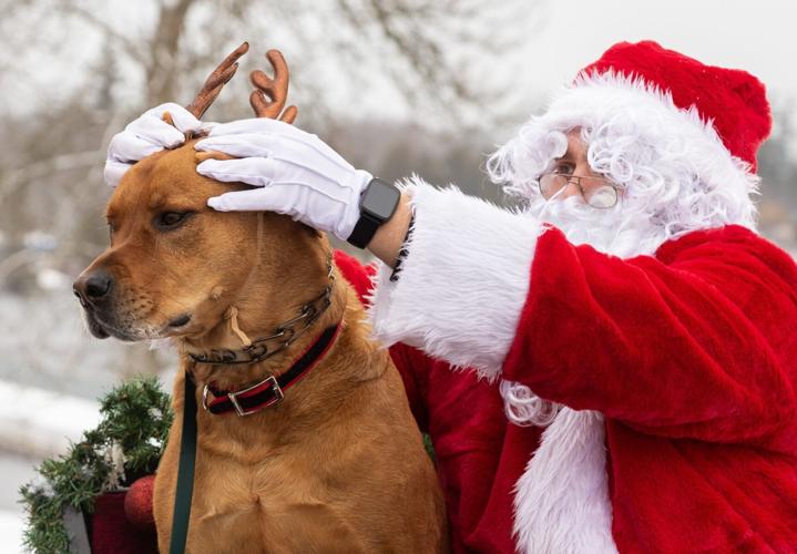 Pets pose with Santa