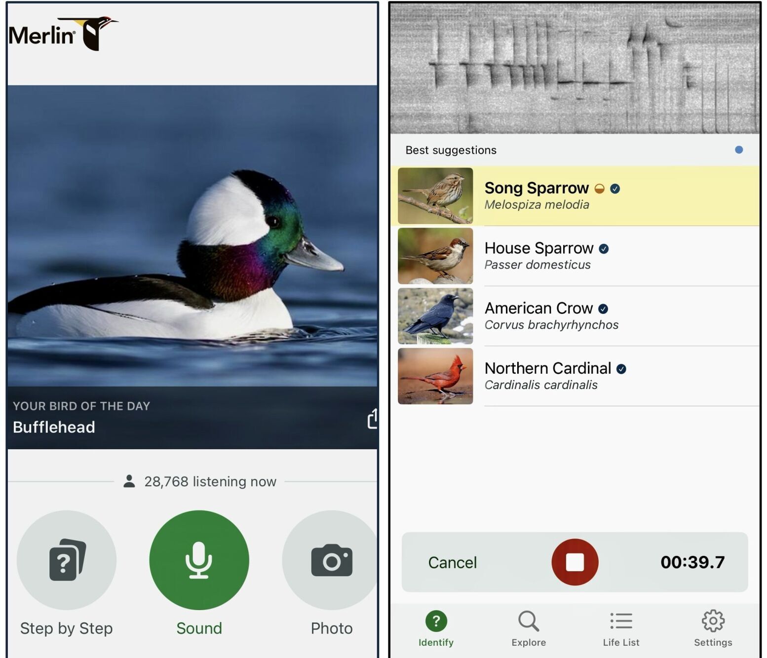 How an app is changing how we identify birds