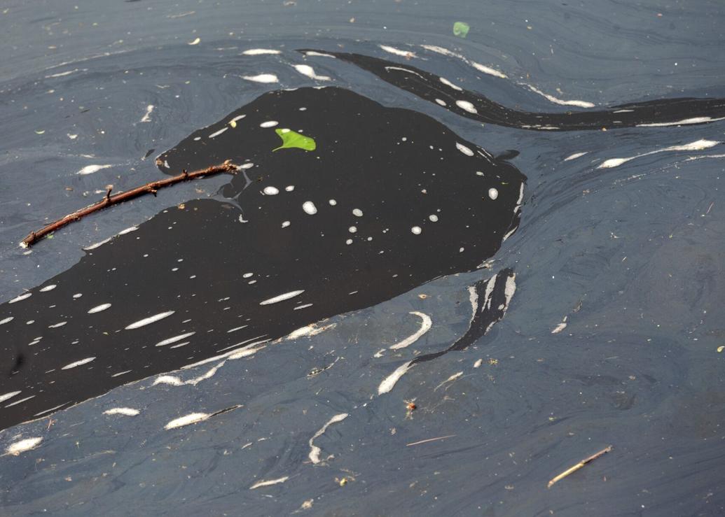 Little Lake oil spill caused by theft from Hydro One station