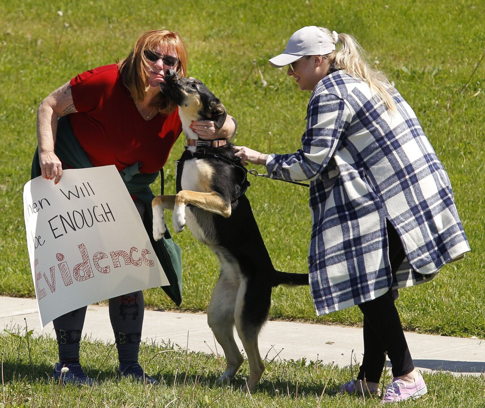 Douro-Dummer dog rescuer guilty of animal neglect