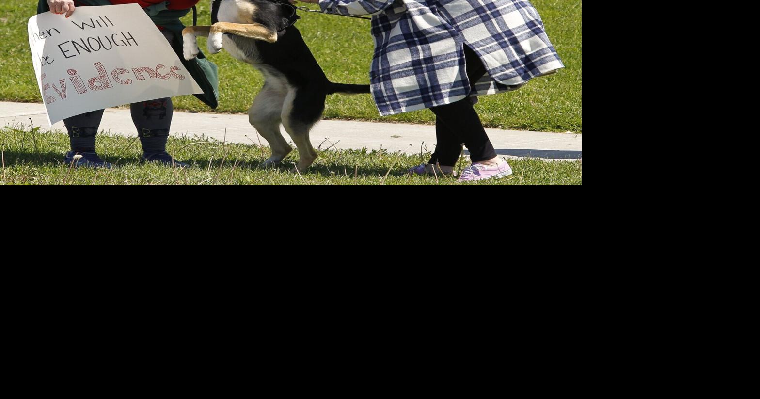 Douro-Dummer dog rescuer facing Ontario animal welfare charges