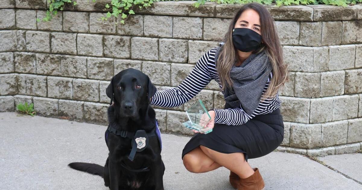 Peterborough Police facility dog Pixie’s ‘magical’ connection with ...