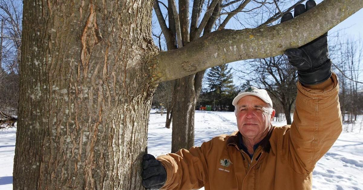 Forests Ontario honours Peterborough’s Mike Walsh for decades of tree ...