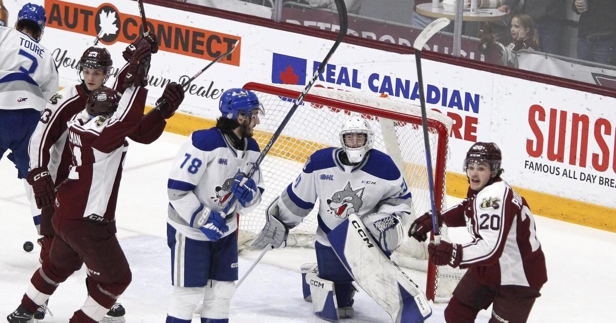 Once seen as early contenders, the Sudbury Wolves won’t be shy about ...