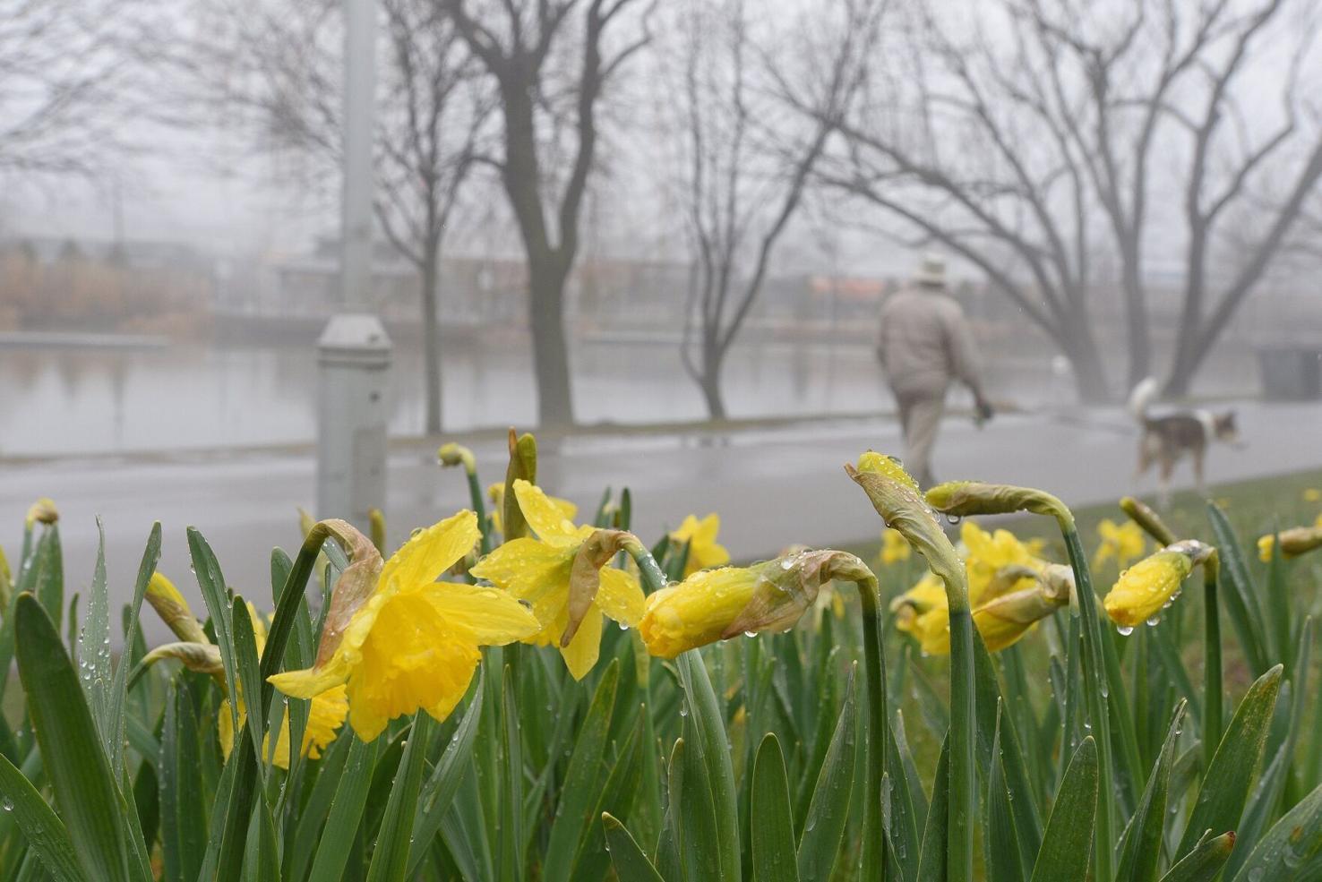 Flood warning issued for Peterborough, Kawartha areas