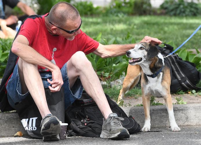 Why pet food is costing Canadians more – and how to save