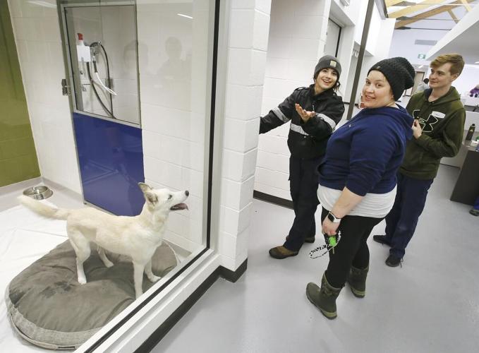 100 animals moved to new Peterborough Animal Care Centre