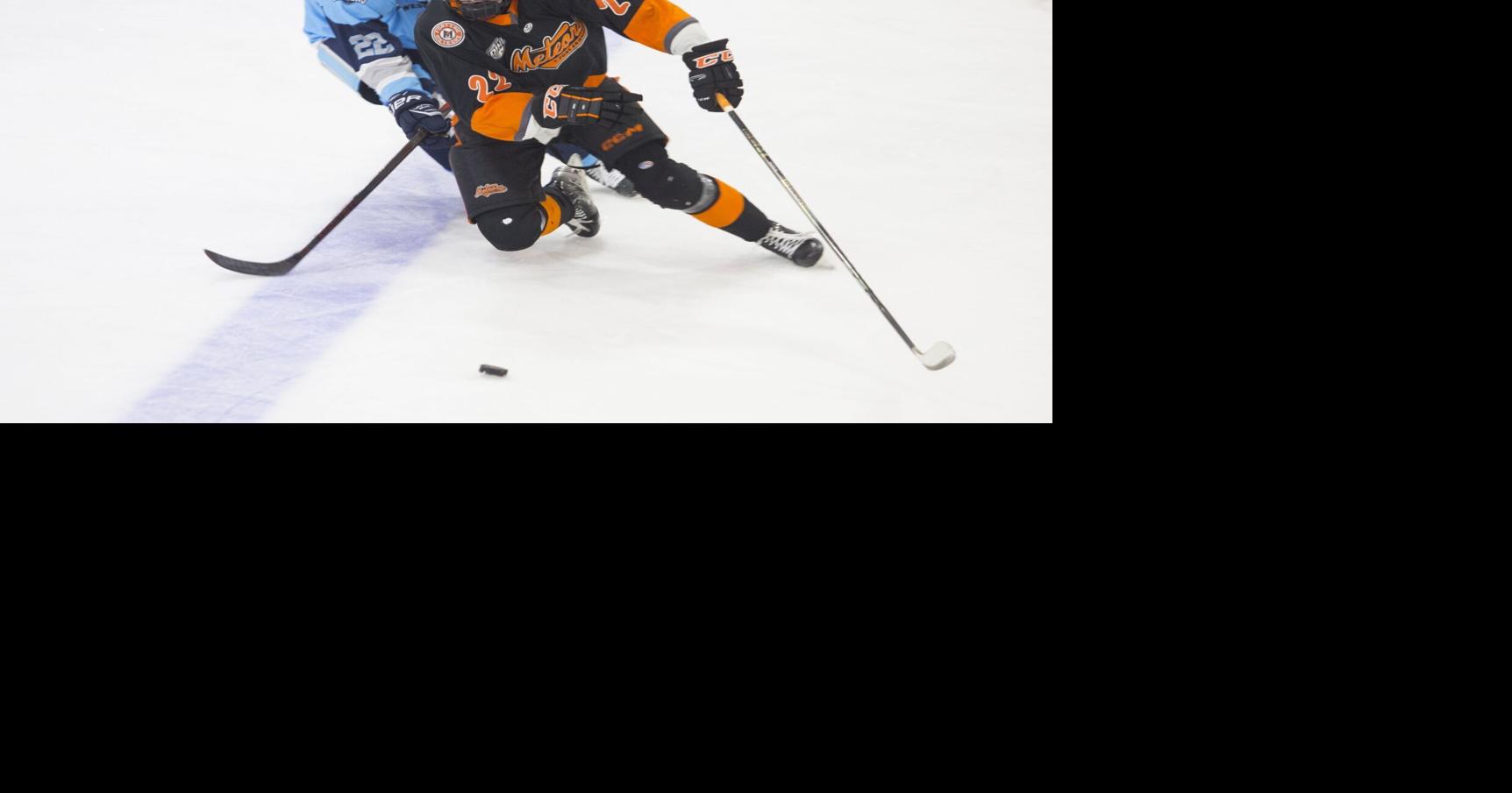 Hockey grad named OHL academic player of the month