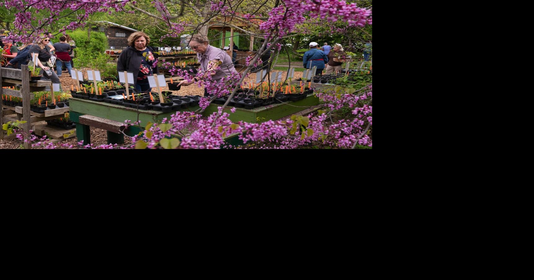 Planting ideas at Ecology Park in Peterborough